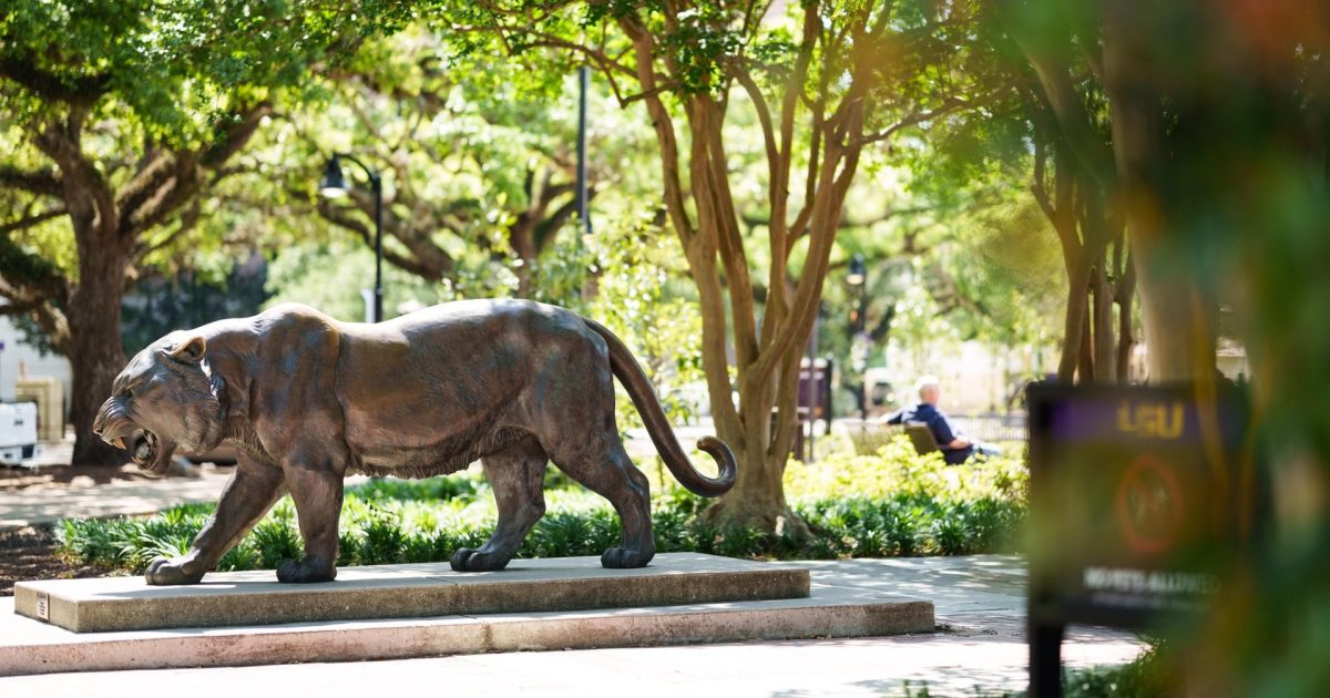 25+ Things to Add to Your Baton Rouge Bucket List | Visit Baton Rouge